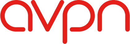 AVPN Annual Review