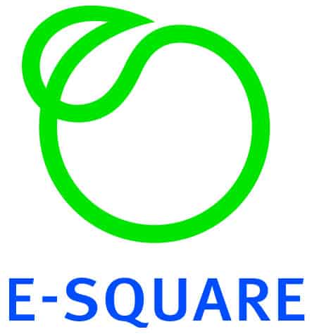 E-Square Inc. | AVPN