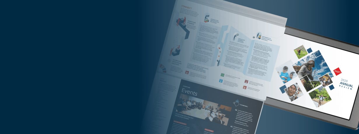 AVPN 2020 Annual Review | AVPN