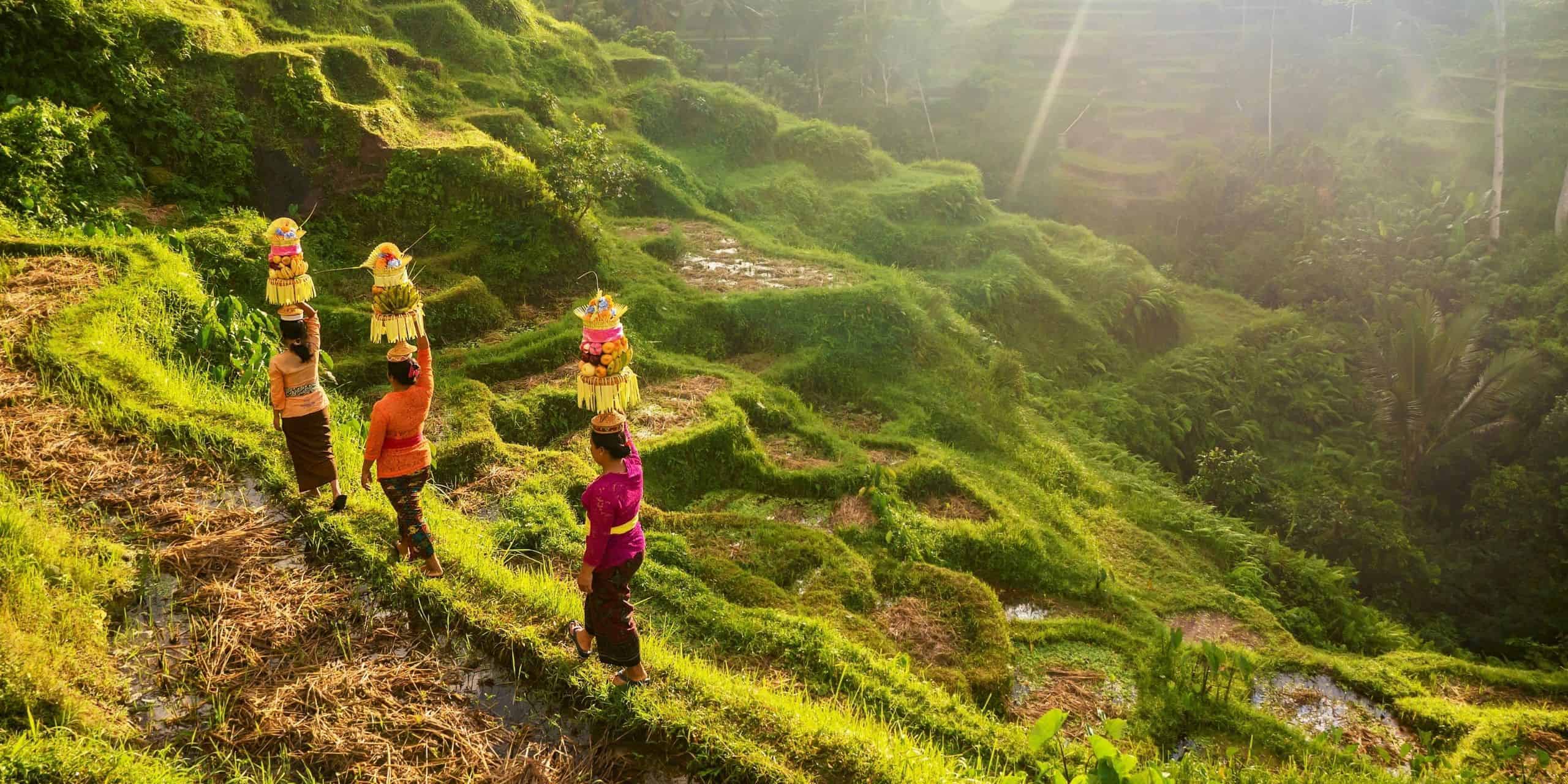 Advancing Tourism Inclusive Businesses in Indonesia: Becoming ...