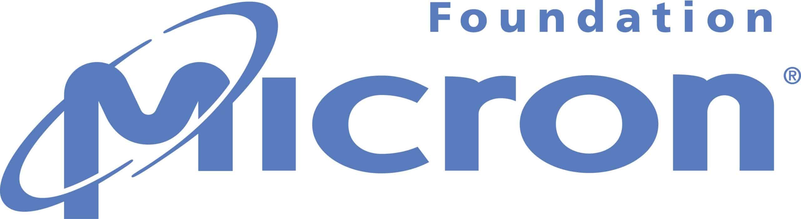 Micron Foundation | AVPN
