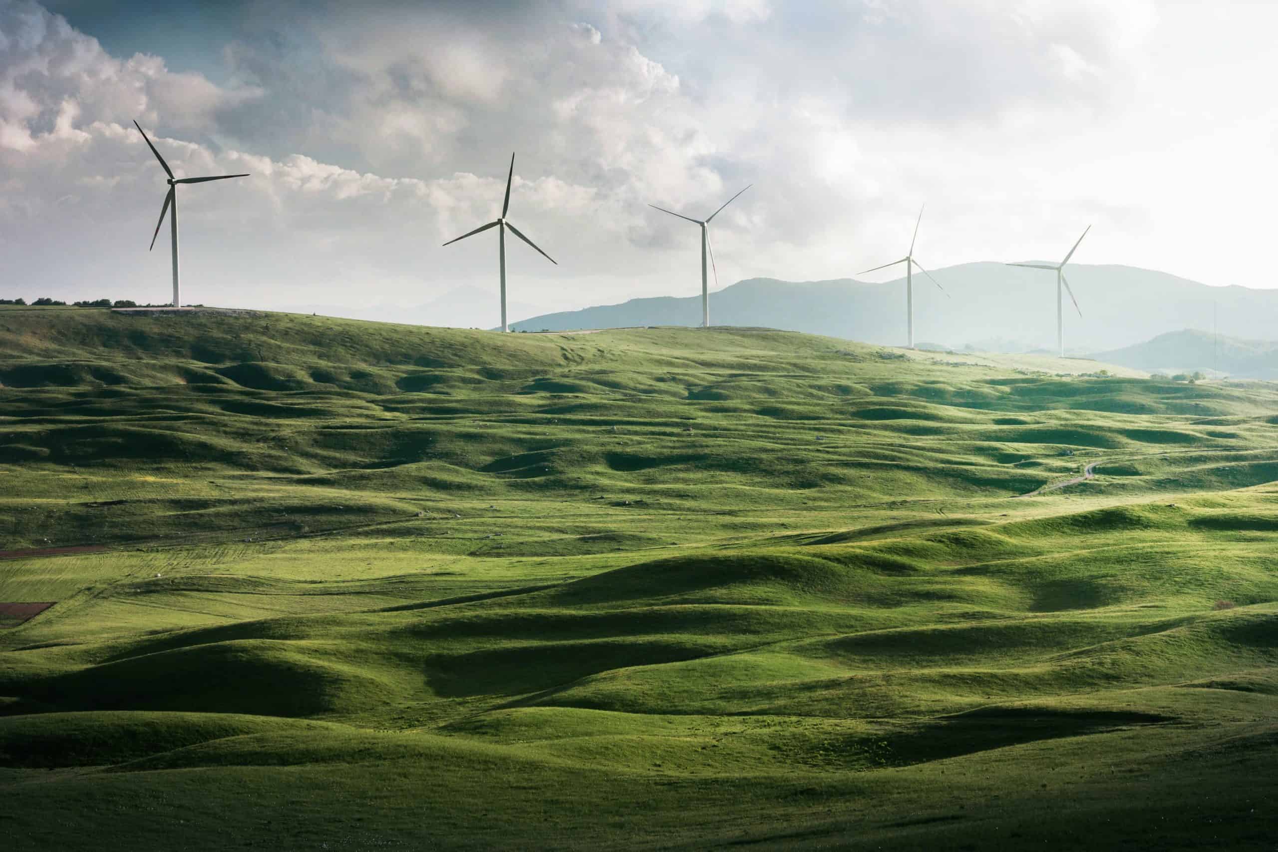 APAC Sustainability Seed Fund | AVPN