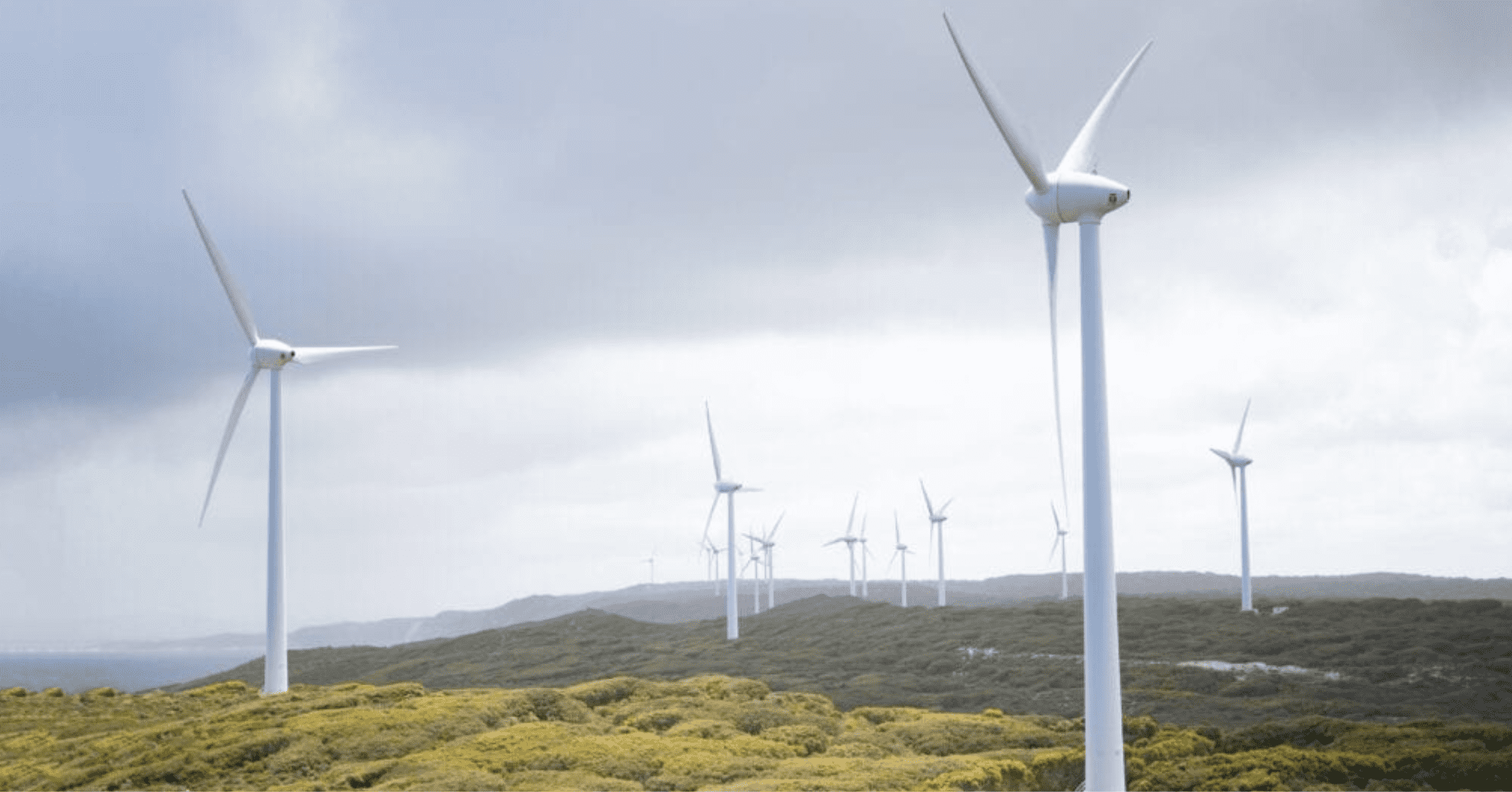 APAC Sustainability Seed Fund 2.0 Information Session 1 | AVPN