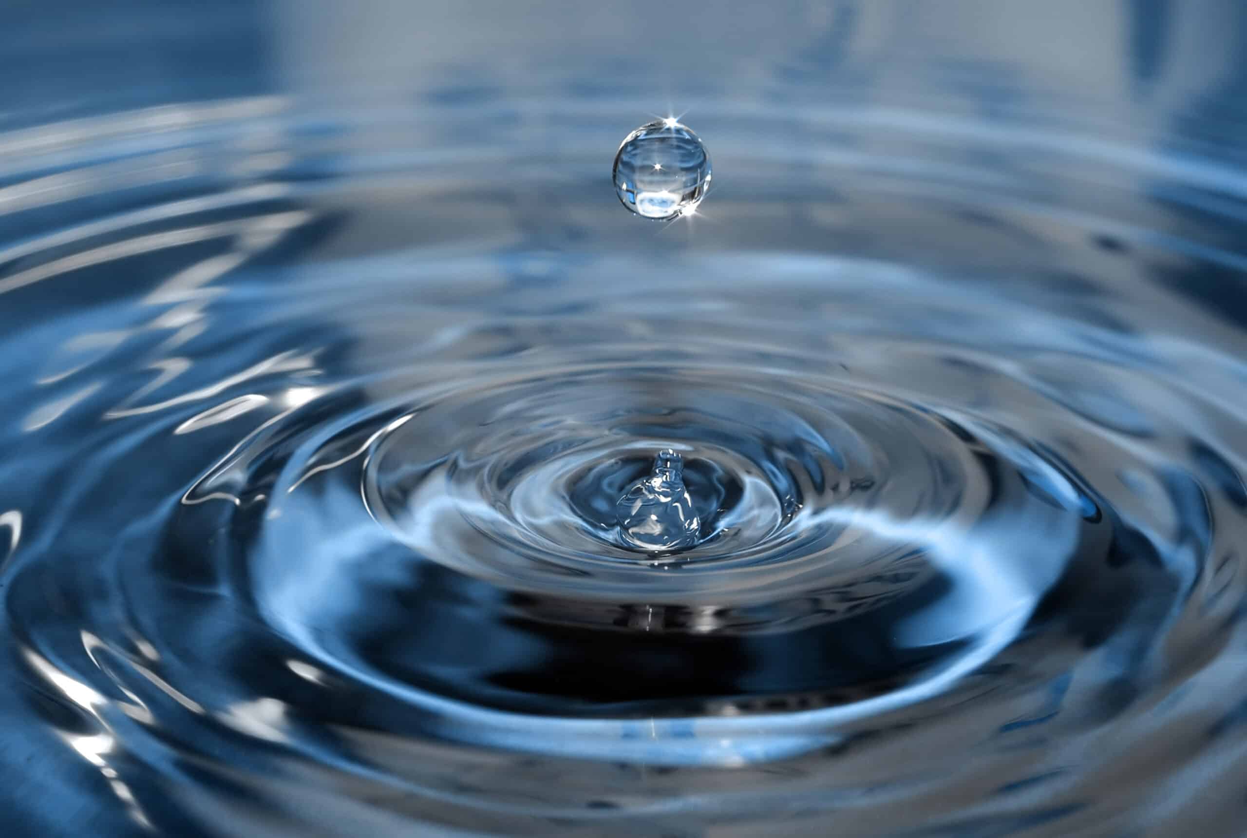 Trust-Based Philanthropy | AVPN