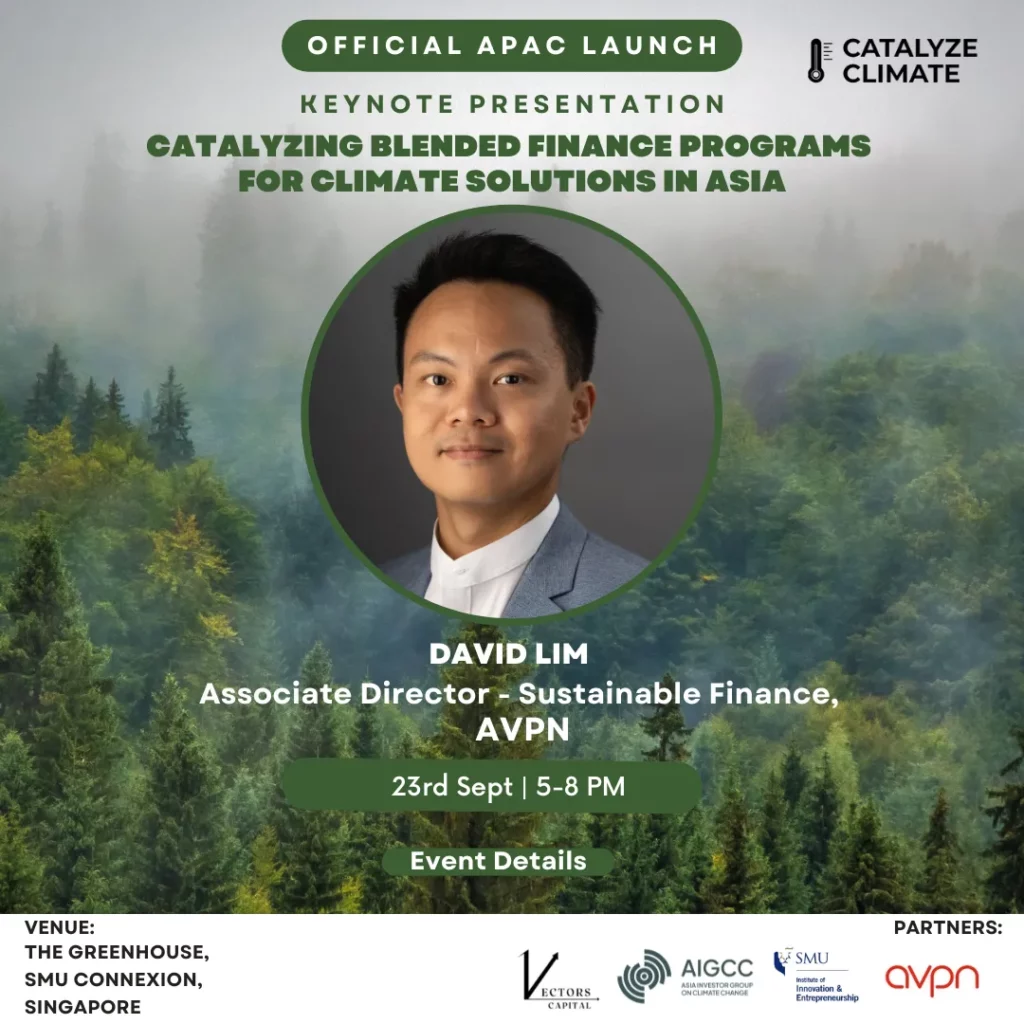 Bridging the Financing Gap: A Systems Investing Approach for Emerging Climate Infrastructure ...