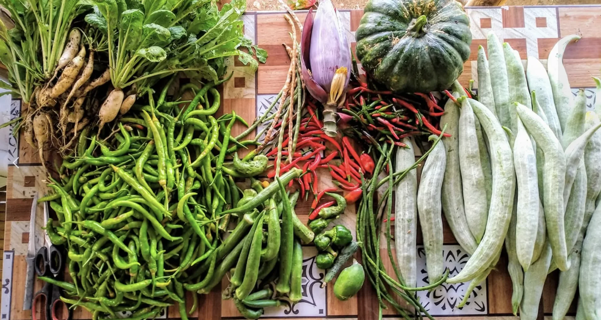 Flourishing as Indigenous Communities in Palawan | AVPN