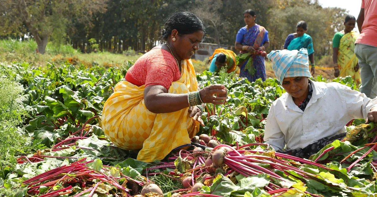 Building a Bridge: Experiential Learning and the Skill India Mission's Informal Workforce | AVPN