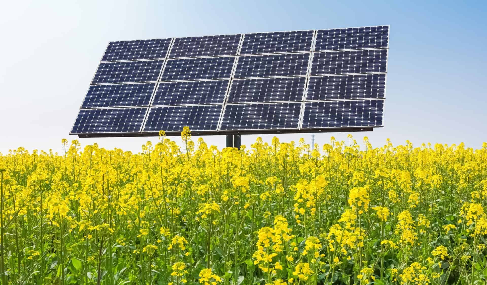 2024 State of Blended Finance (Climate Edition) Virtual Launch | AVPN