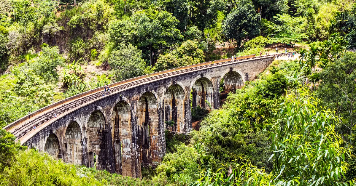 AVPN Philanthropy Fellowship | AVPN