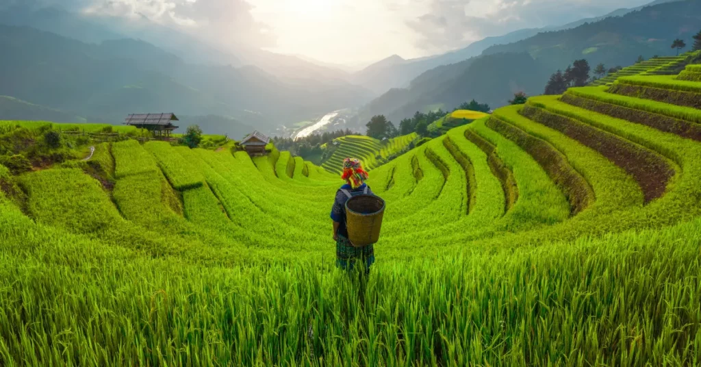 Accelerating Change: Celebrating International Women’s Day 2025 | AVPN